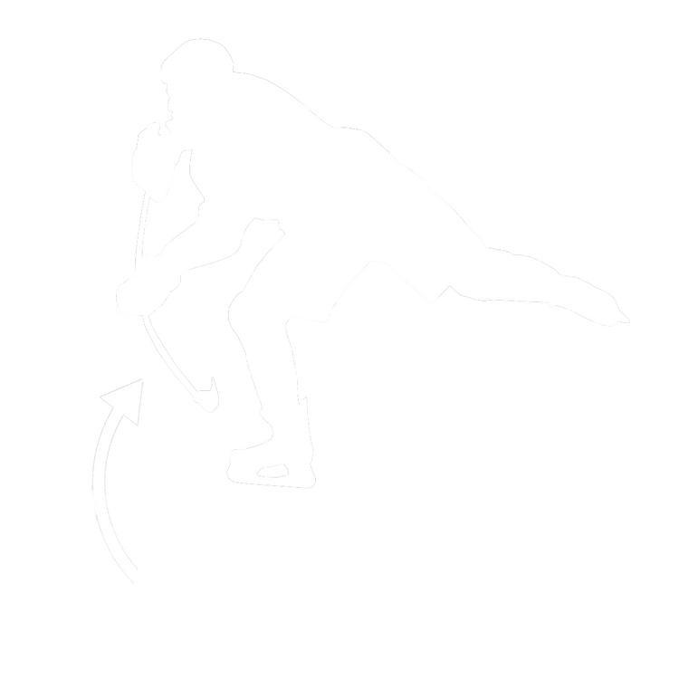 Stick School – Pro Stock Hockey Sticks